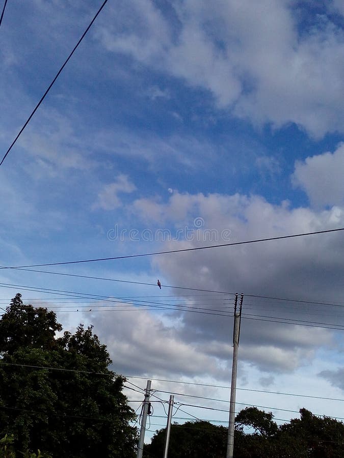 Sky beauty stock image. Image of night, moon, good, beauty - 134630769