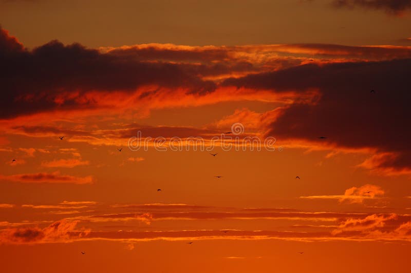 Sunset sky colors stock image. Image of beautiful, evening - 45215499