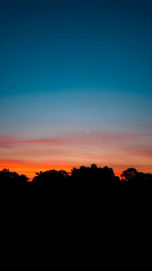 A Sunset Sky with a Dark Forest Outline Stock Illustration ...