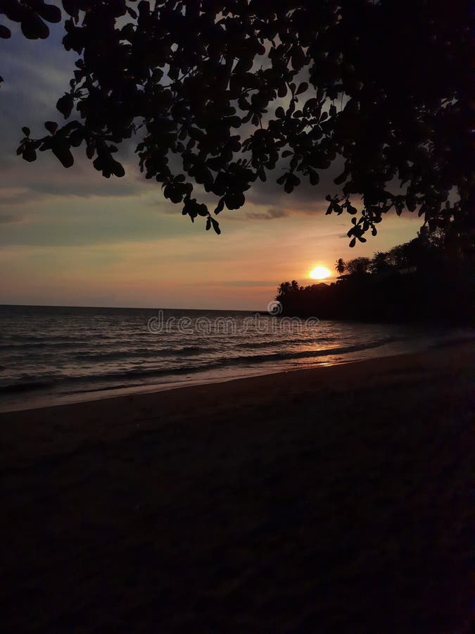 Sunset Sky Darkness Sun Sea Beach Ocean Wind Tree Stock Photo - Image ...