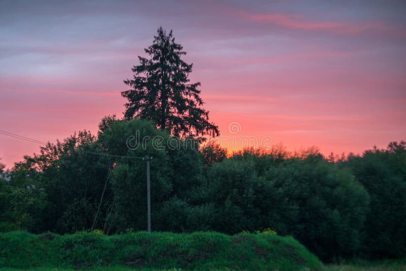 Sunset sky and forest stock image. Image of forest, sunset - 87964735