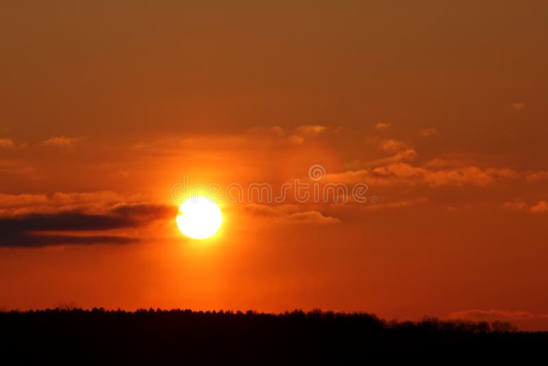 Sunset sky and forest stock photo. Image of cloud, evening - 111192272
