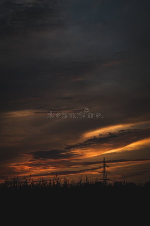 Sunset Sky Over Corn Field in Summer Stock Photo - Image of silhouettes ...