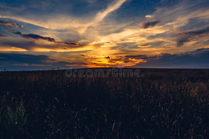 Sunset sky over the field stock photo. Image of nature - 142456180