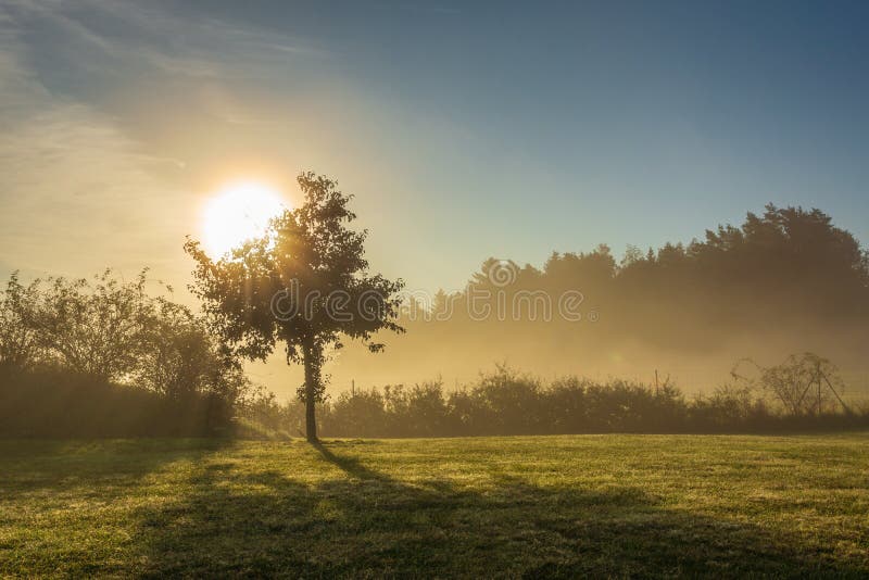 Sunset Sky Over the Field in the Evening Stock Photo - Image of horizon ...