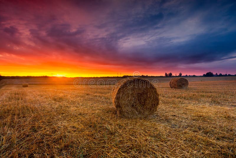 Sunset Sky Over Field with Straw Bales Stock Image - Image of sunlight ...