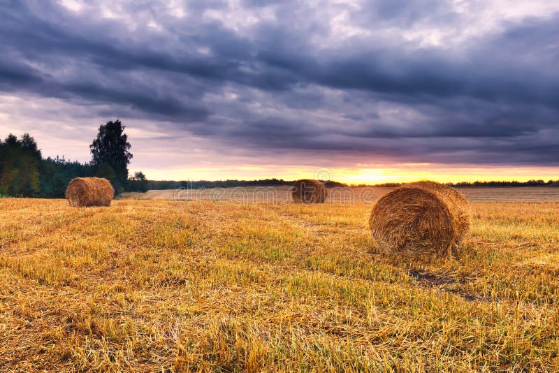 Sunset Sky Over Field with Straw Bales Stock Image - Image of brown ...