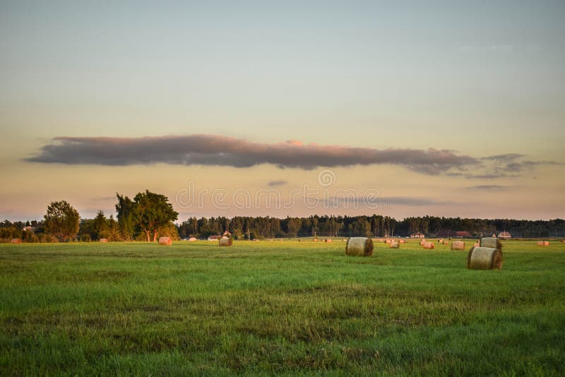 Sunset sky over the field stock photo. Image of nature - 123576102