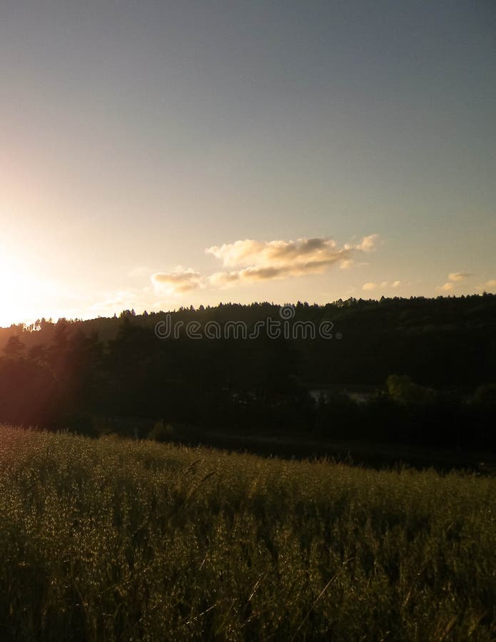 Sunset Sky Over Fields and Meadows Stock Photo - Image of field, nature ...