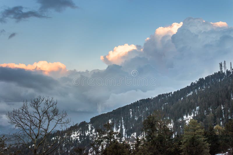 Sunset Sky Over Pine Trees on a Snow Covered Mountain Stock Image ...