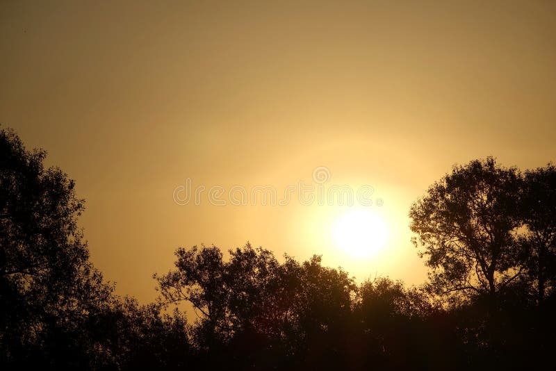 Sunset sky over trees stock image. Image of spring, plants - 79294887