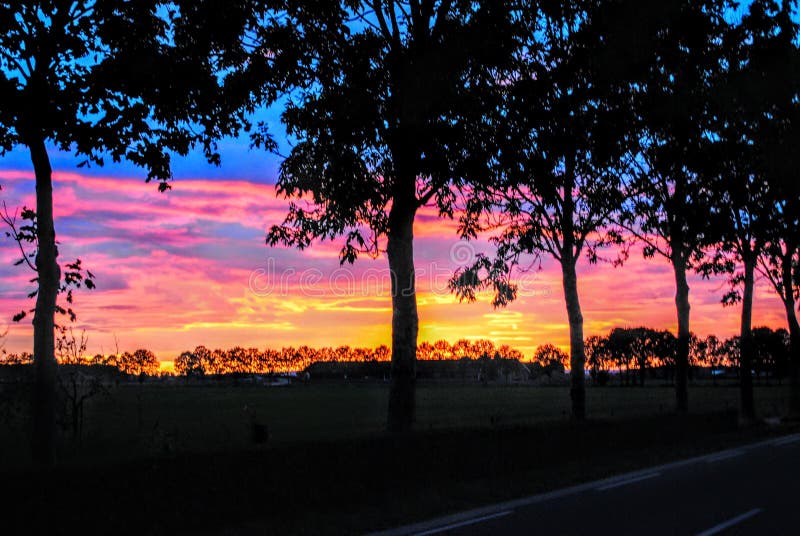Sunset stock photo. Image of sunset, tree, blue, pink - 85288758