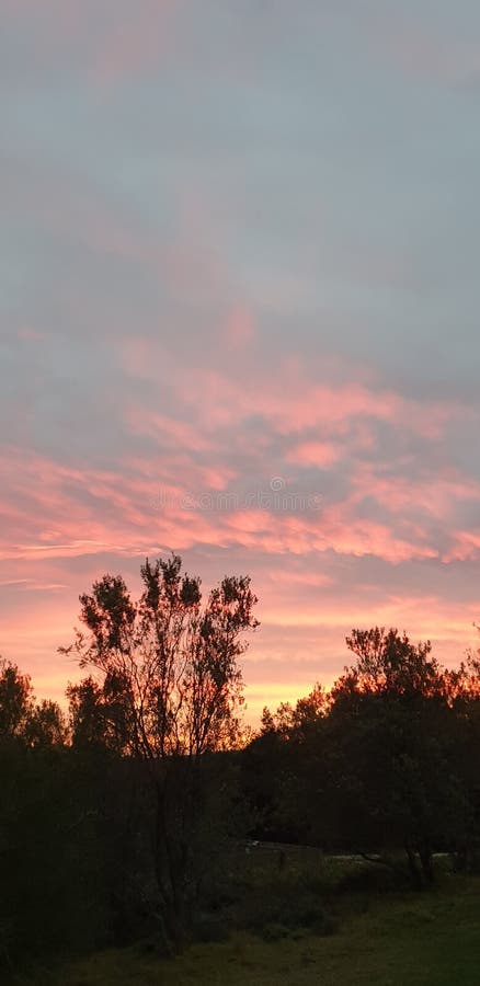 Sunset,sky, Trees Beautifull Nightfall Dusk Stock Image - Image of ...