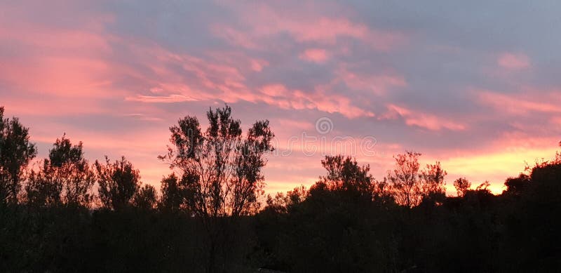 Sunset,sky, Trees Beautifull Nightfall Dusk Stock Image - Image of ...