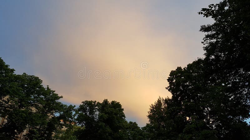Sunset in the Sky. Trees. Texture. Stock Image - Image of sadness ...