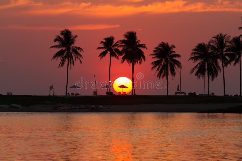 Sunset and Skylight with Coconut Tree on the Beach. Stock Image - Image ...
