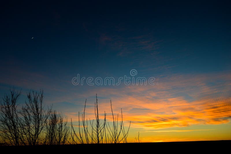 Sunset stock photo. Image of small, tree, magic, moon - 84077944