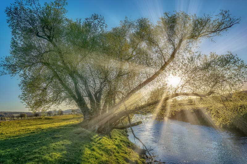 Sunset on a Small River with Sun Rays between the Branches Stock Image ...