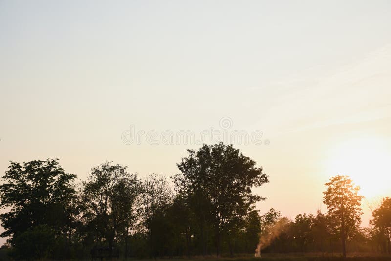 Sunset with Smoke in the Forest Stock Image - Image of landscape ...