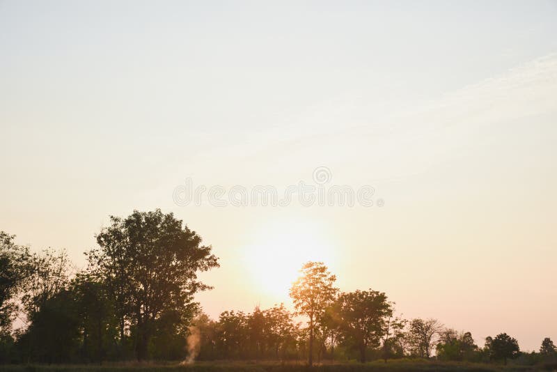 Sunset with Smoke in the Forest Stock Photo - Image of morning ...