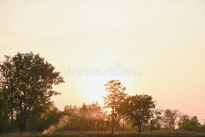 Sunset with Smoke in the Forest Stock Image - Image of orange, colorful ...