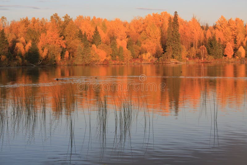 Sunset At Smoke Lake Picture. Image: 6872395