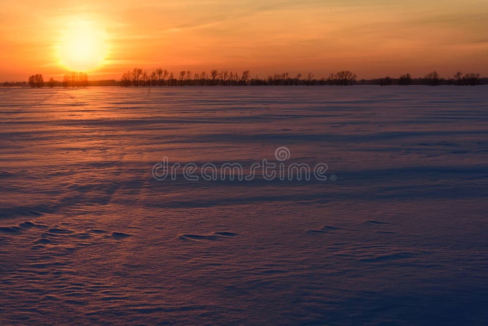Sunset snow field sun sky stock image. Image of beautiful - 65856421