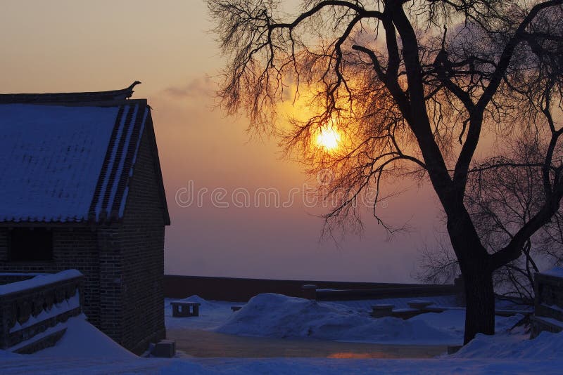 Sunset on snow field stock photo. Image of edge, branches - 46542878