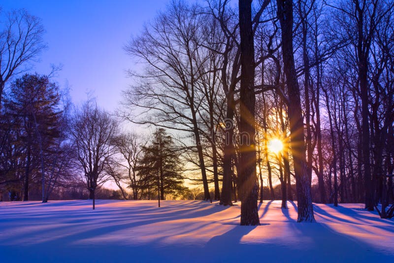 Sunset on Snowy Day stock image. Image of beauty, field - 36922349