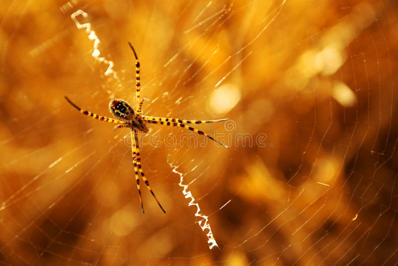 Sunset stock image. Image of relaxing, nature, abstract - 4327389