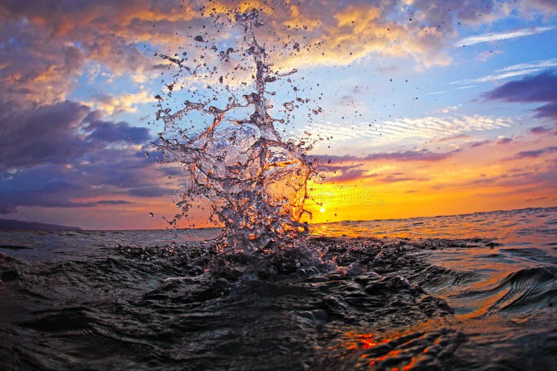 Tropical sunset stock image. Image of ecology, light - 12232429