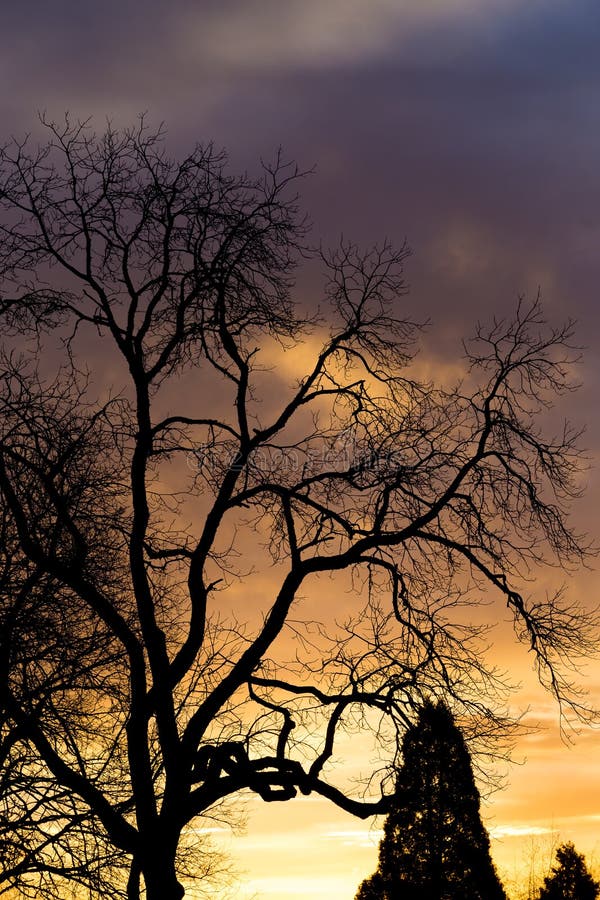 Spooky sunset in bw stock image. Image of ghostly, sunset - 11283159