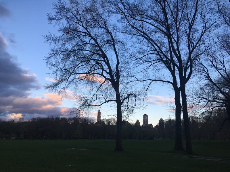 Sunset in Spring in Central Park in Manhattan, New York, NY. Stock ...