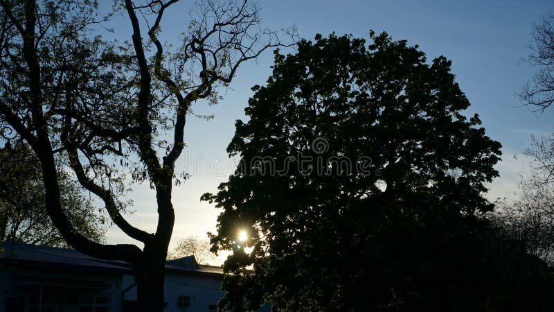 Sunset on a Spring Evening. a Mesmerizing Sight Stock Image - Image of ...