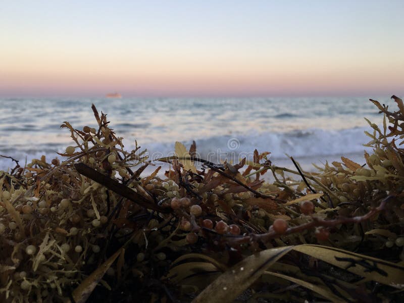 Sunset in Spring at Miami Beach, Florida. Stock Photo - Image of ...