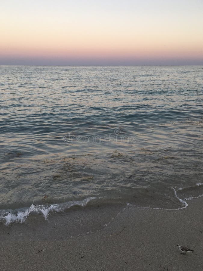 Sunset in Spring at Miami Beach, Florida. Stock Image - Image of sand ...