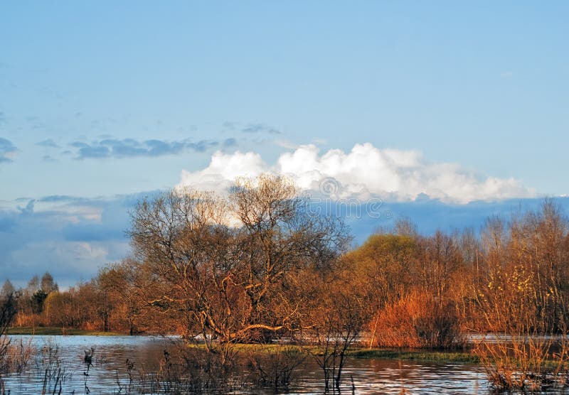 Sunset spring river stock photo. Image of bushes, river - 14276960