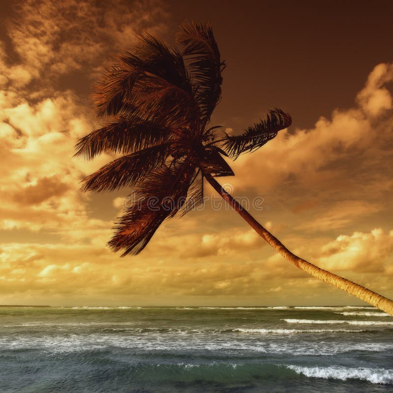 Beautiful Sunset Over the Ocean Stock Image - Image of heaven, magic ...