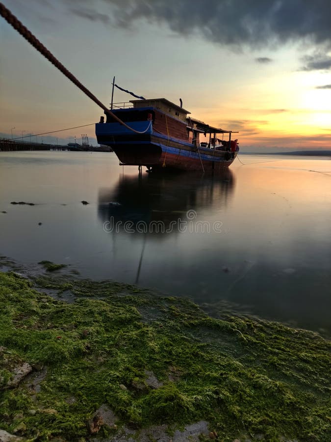 Sunset story at sea stock image. Image of sunset, tree - 262676299