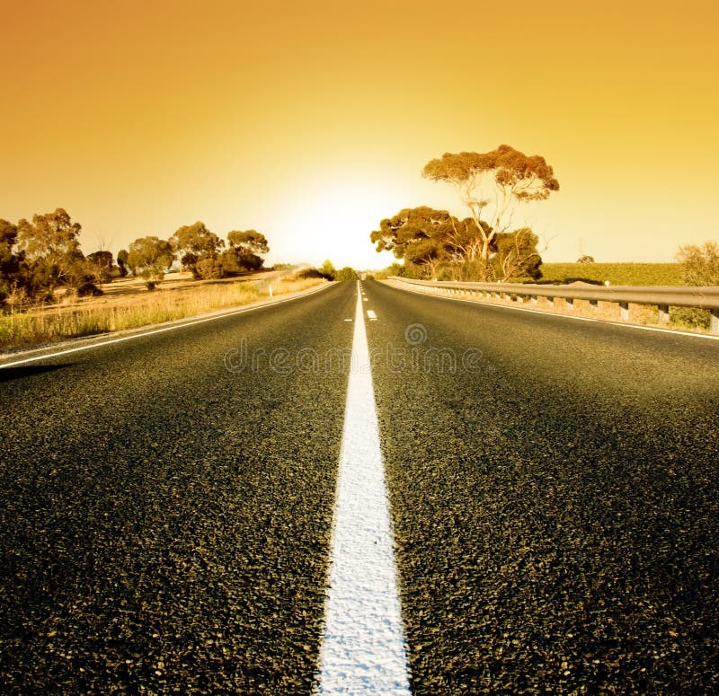 Sunset Strip stock photo. Image of tree, nature, journey - 8865152