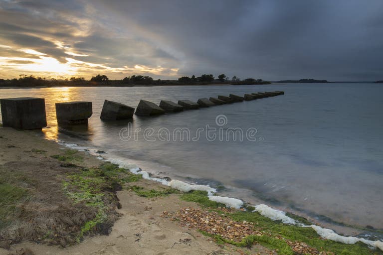 Sunset at Studland Tank Defence Stock Image - Image of defence, trees ...