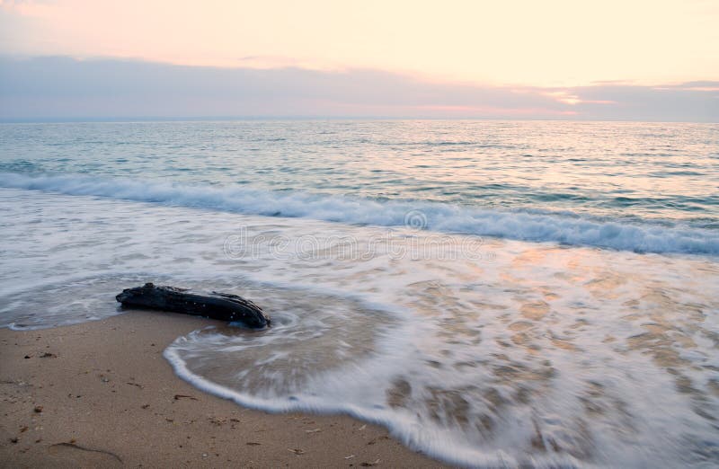 Sunset on the summer beach stock image. Image of coast - 350184001