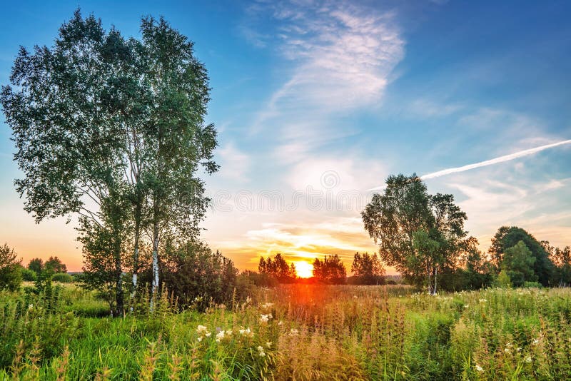 Sunset in summer field stock photo. Image of bright, nature - 43375810