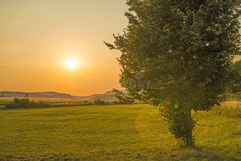 Sunset in Summertime with Tree Stock Image - Image of scene, dramatic ...