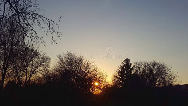 Sunset. the Sun Behind the Trees Stock Image - Image of scenic ...
