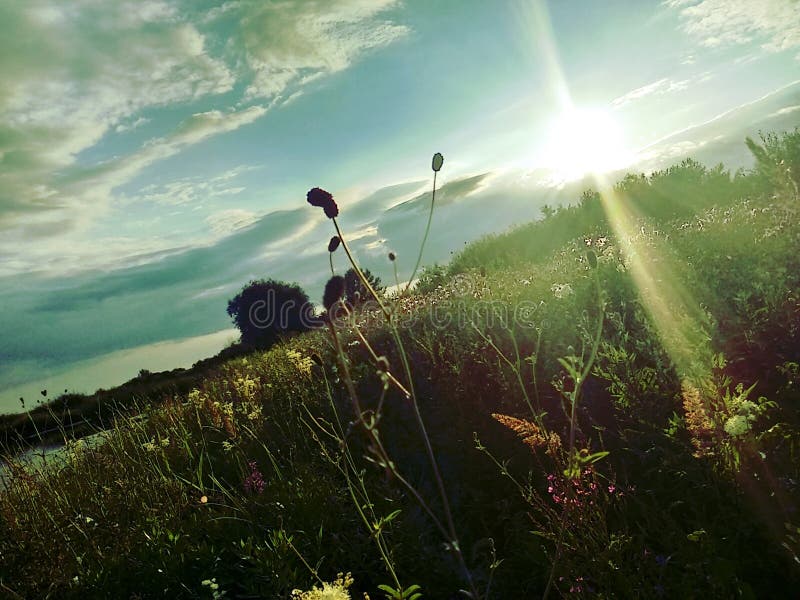 Sunset stock photo. Image of love, greenery, sunset - 122184606