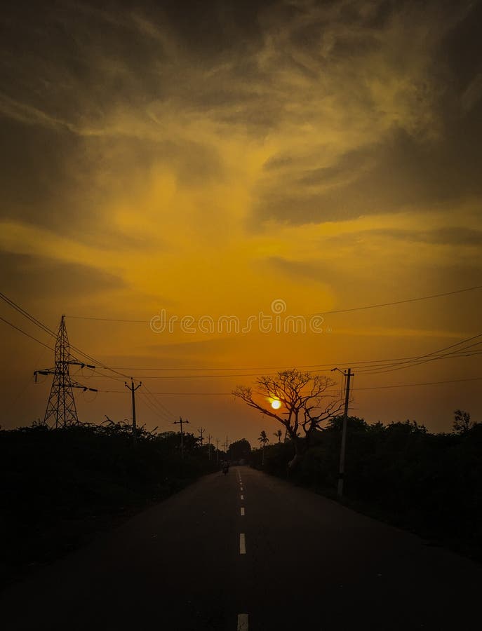 Sunset stock photo. Image of beauty, sunset, hide, tree - 139144132