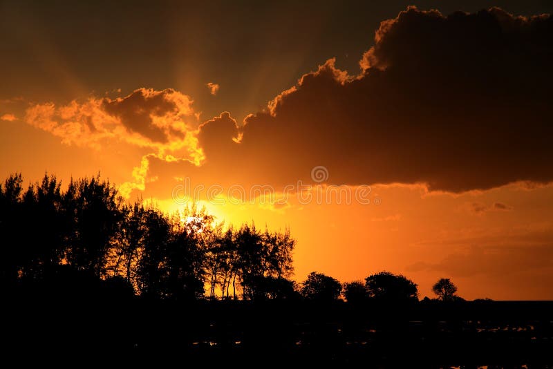 Sunset with sun rays stock image. Image of rays, sunlight - 18290885