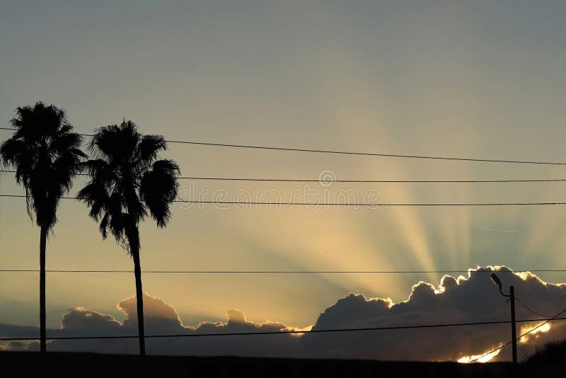 Sunset with Sun Rays and Palm Trees Stock Image - Image of sunbeams ...