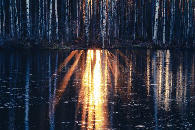 Sunset Sun is Reflected in the River Water Stock Image - Image of rays ...